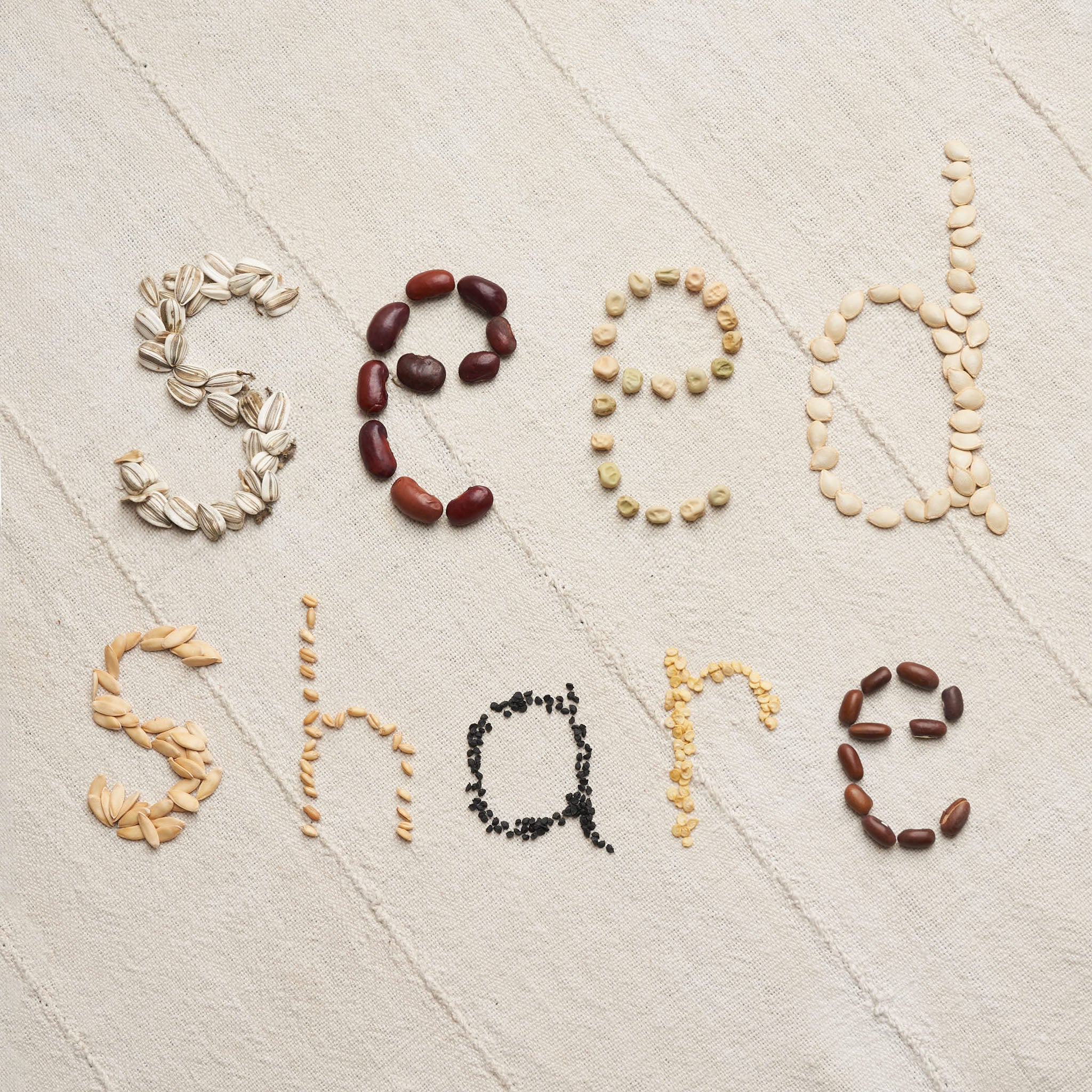 Free Organic + Heirloom Seeds | Housework Seed Share