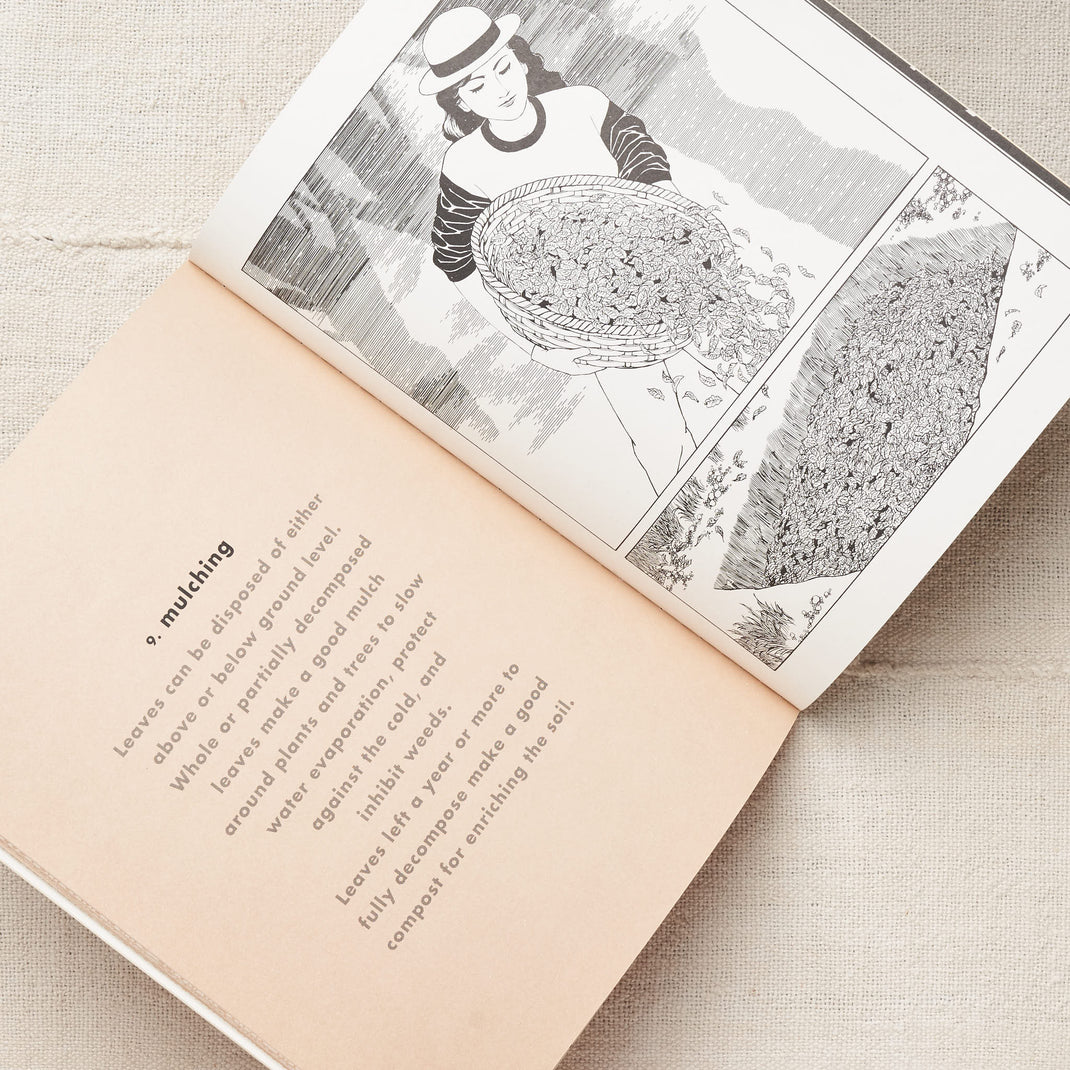 Leonard Koren | How to Rake Leaves – Housework