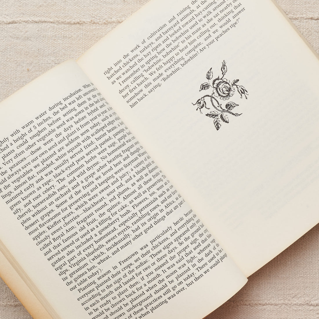 Edna Lewis | The Taste of Country Cooking – Housework